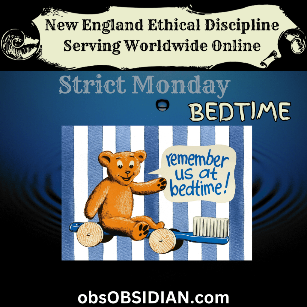 obsOBSIDIAN – Online Boarding School for adults ~ https://ObsObsidian.com